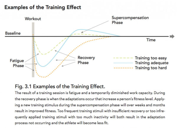 Tapering for a Race or Event: What to Do and What Not to Do | Uphill ...
