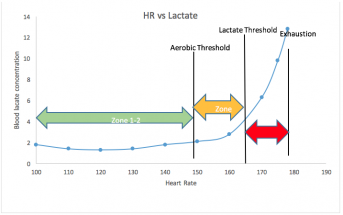 Blood Lactate Test Protocol: Tips and Tricks | Uphill Athlete