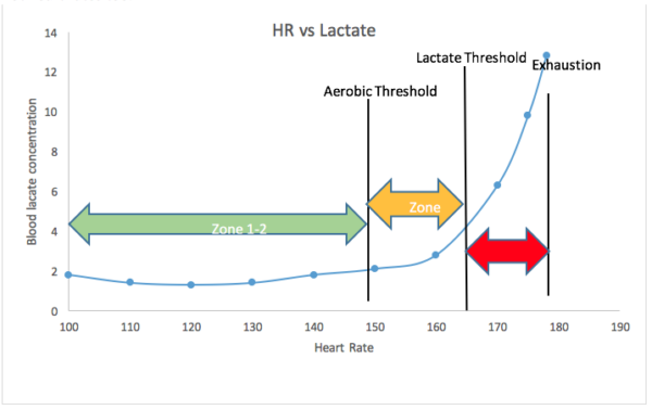 Blood Lactate Test Protocol: Tips and Tricks | Uphill Athlete