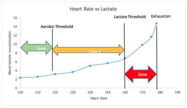 Blood Lactate Test Protocol: Tips and Tricks | Uphill Athlete