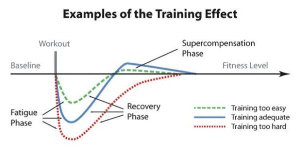 Recovery Strategies for Endurance Training | Uphill Athlete