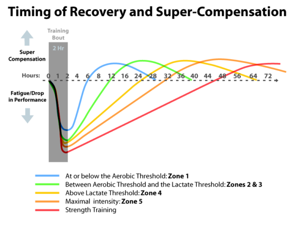 Recovery Strategies for Endurance Training | Uphill Athlete