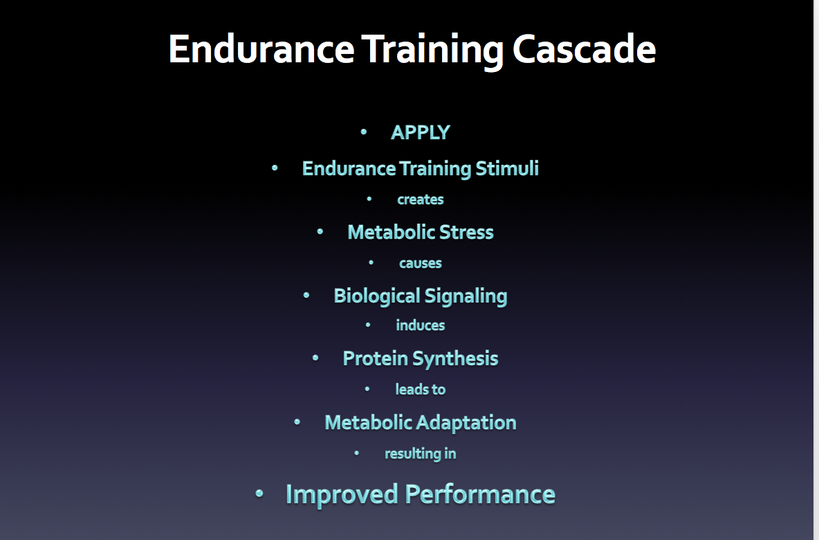 Recovery Strategies for Endurance Training | Uphill Athlete