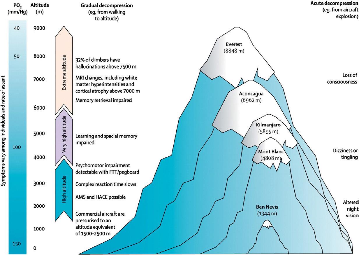 Understanding Altitude: An Overview for Mountain Athletes | Uphill Athlete